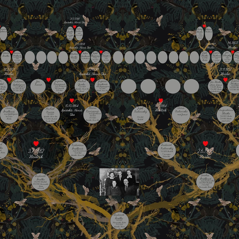 Ja spravím grafiku rodostrom / rodokmeň za 80,00 € | JASPRAVÍM.sk
